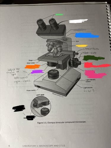 Biology 120 Lab Exam Flashcards Quizlet