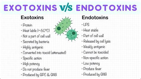 Exotoxins Vs Endotoxins Saad Khan Youtube