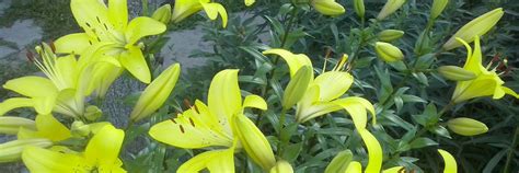 Идеи для рисования 2025 ВКонтакте