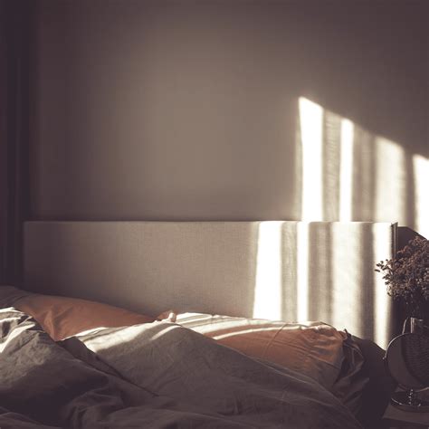 Bed Bugs Treatment Checklist Clipart