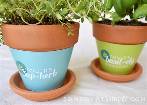Gold Flower Pot Wrappers At Harry Quintana Blog