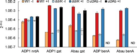 Ddrr Mutation Does Not Affect The Induction Of Genes That Are Not Download Scientific Diagram