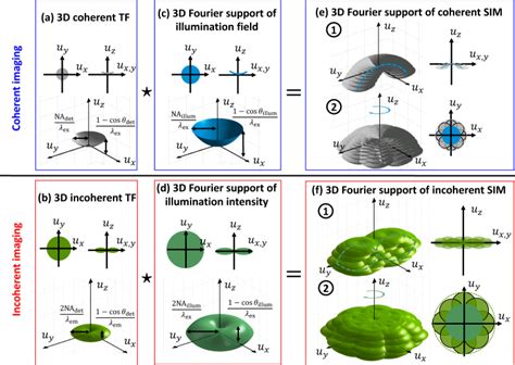 Speckle Structured Illumination For 3d Phase And Fluorescence Computational Microscopy Pmc