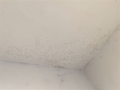 Is This Moldmildew Is It A Concern Bathroom Shower Ceiling Home