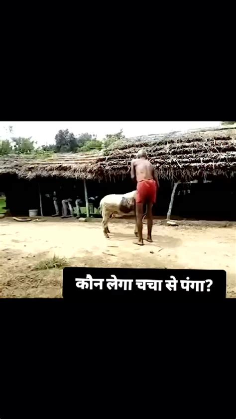Viral Ka Tadka Viralkatadka • Instagram Photos And Videos