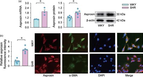 Journal Of Hypertension
