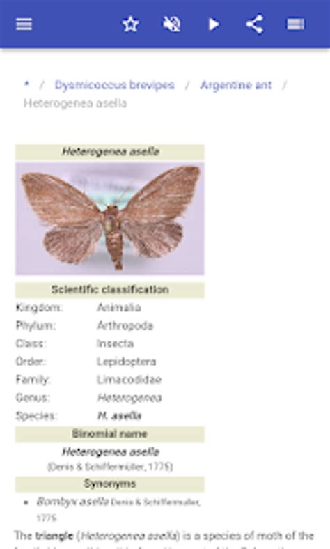 Android Için Insect Pests İndir