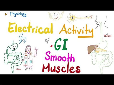 Free Video Slow Wave Potential Basic Electrical Rhythm Ber And