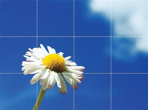 آسمان مجازی طرح گل زیبایی و طراوت سقف اتاق کودک و نشیمن