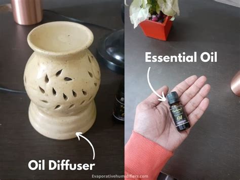 Humidifiers Vs Diffusers Tried And Tested Whats The Difference