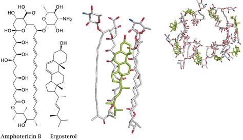 How And Where Could I Find Files That Match The Structure Of The