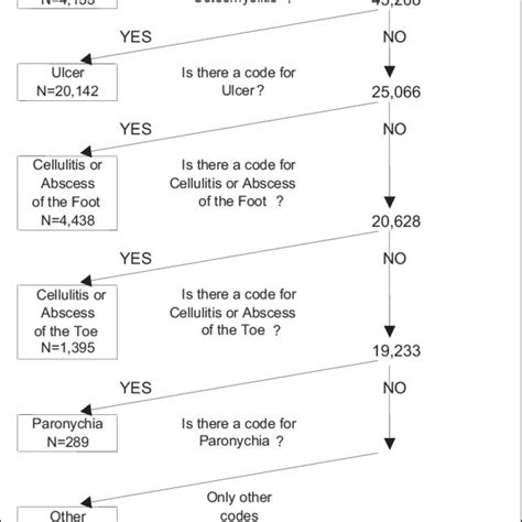 Va Patients With Foot Infections Classification To Group Of Lower