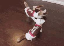 Tootsie Roll Dance 