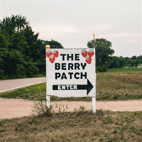 The Berry Patch