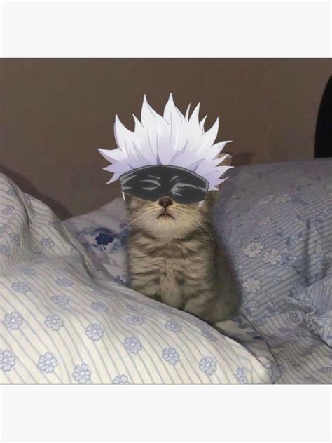 Funny Cat Gojo Satoru Poster By Yota38 Redbubble