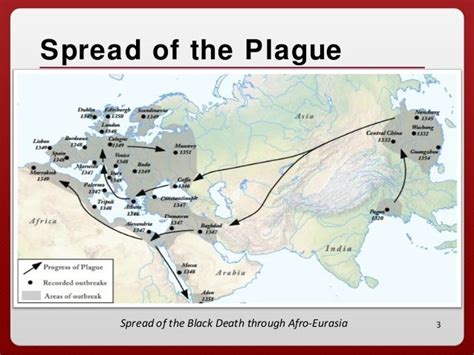 Picture Links The Bubonic Plague