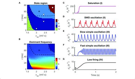Two Epileptogenic Factors Inducing Absence Seizures In The