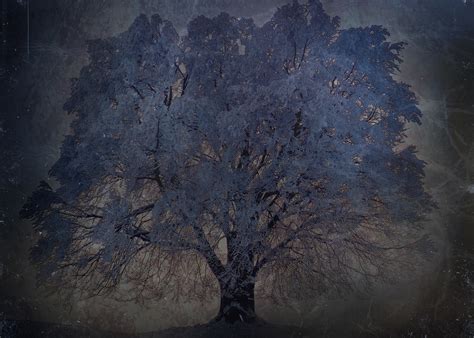 Chad M Laughlin Creative Save The Planet