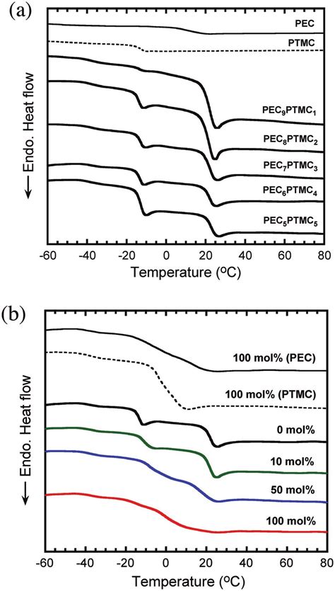 Dsc Traces Of A Neat Pec Ptmc And Single Pec X Ptmc Y Blends And B