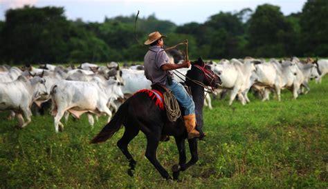 Cultura Venezolana Historia Origen Características Y Más Zaucxc
