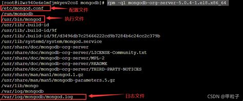 在云服务器上安装并启动mongodb 在云服务器安装mongodb教程 csdn博客