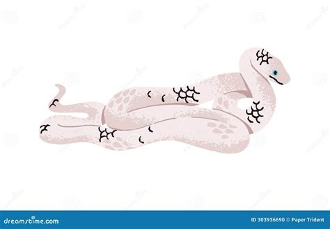 Exotic Boa Crawling On Tree In Jungle Poster Patterned Python Is In The Rainforest Tropical