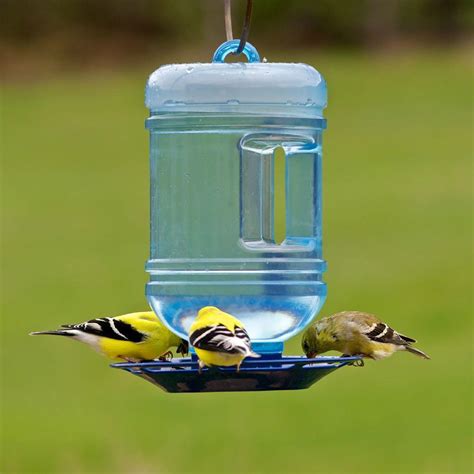 Water Cooler Bird Waterer Wild Birds Variety Hanging Drink Bottle Feeder Tray Ebay