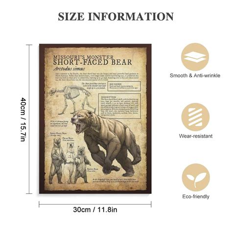 Short Faced Bear