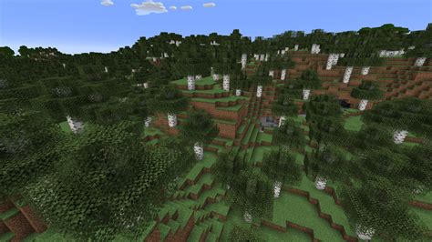 Birch Forest Minecraft Wiki