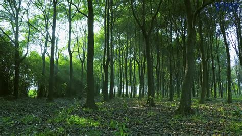 Vika Sun On Linkedin Laboratory Lab Medical Products Biobase