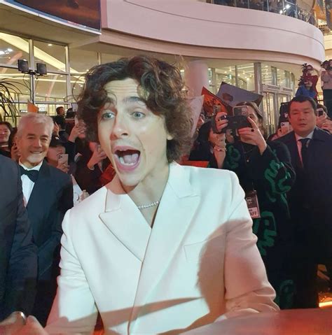 Regulus Acturus Black 170 Ideias De Thimotee Chalamet Para Salvar Hoje