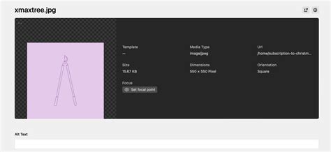[v4] panel single file view image preview is not centred · issue 5603