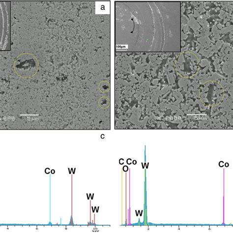 Sem Se Micrographs Of The Worn Surfaces Of A Spsed 6cowc And B
