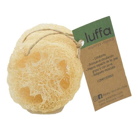 Esponja Vegetal Luffa Gaia Chile