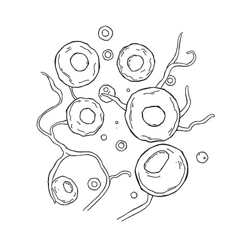 Best Sickle Cell Coloring Pages Free Printable Pdf