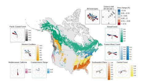 Map Of Present 2000 2019 Forest Type Classification As Well As The Download Scientific