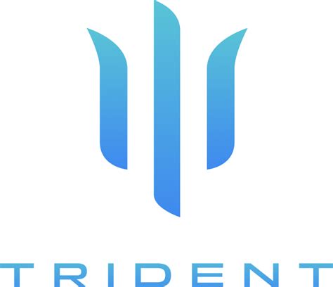 Trident Api Platform Video Trident Inc
