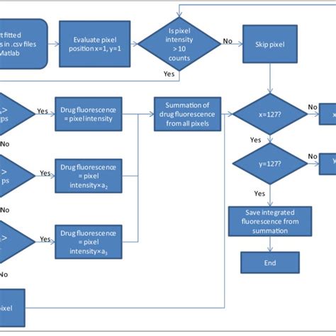 Flowchart Of Fluorescence Lifetime Imaging Microscopy Flim Data