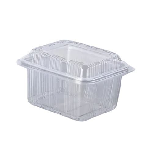 250ml Plastic Rectangle Hinged Box At ₹ 2 5 Piece Hinged Box In Kolkata Id 2856416006455