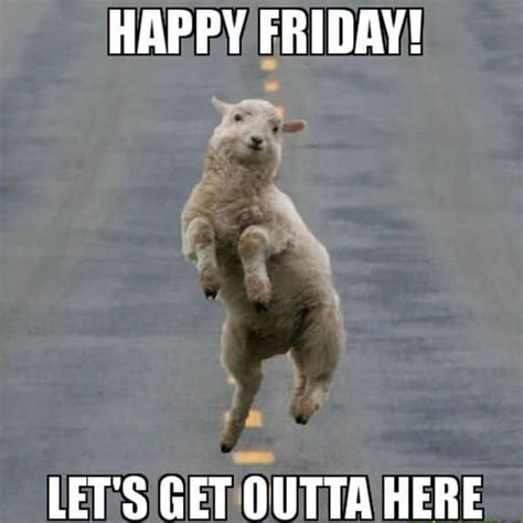 90 Top Funny Happy Friday Memes To Start A Weekend 2026