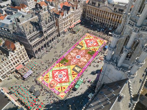 Flowers Grand Place Brussels At Emily Jenkins Blog