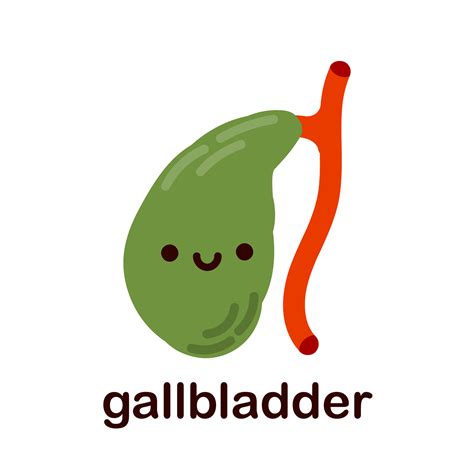 Kawaii Gallbladder Cute Kawaii Human Internal Organs Cheerful
