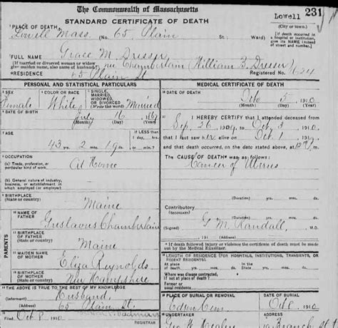 Grace Mabel Chamberlain Dresser 1867 1910 Find A Grave Memorial