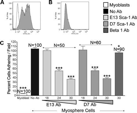Sca 1 Antibodies Block Adhesion To Avb3 Integrin Representative Facs