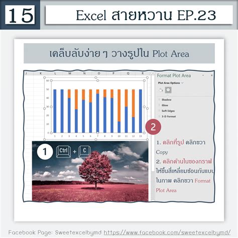 ตัวอย่าง กราฟแท่ง สวย ๆ Ep23 สร้างกราฟสวยด้วยรูปภาพ Sweet Excel