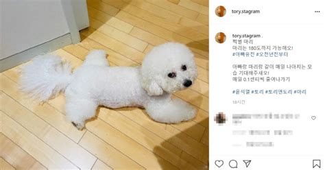 윤석열 쩍벌 셀프 디스반려견은 180도까지 가능