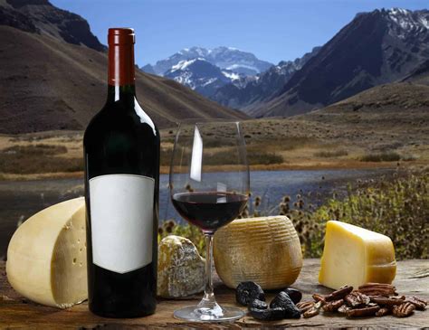 Mendoza Argentina Home Of Malbec An Argentine Wine Experience