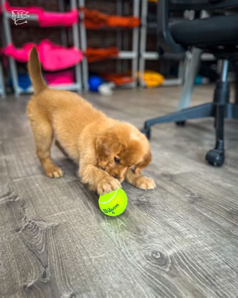 Matthew Stratton On Linkedin Hiring