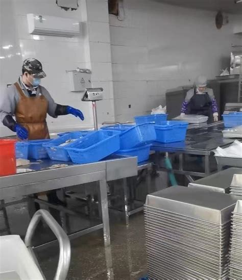 Processing Of Frozen Squid Fillet With Head