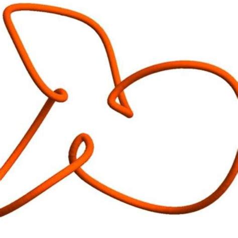 Schematic Illustration Of Four Types Of Nodal Line A Ordinary Nodal